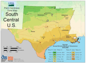 USDA Hardiness Zones Explained – Orchard Culture