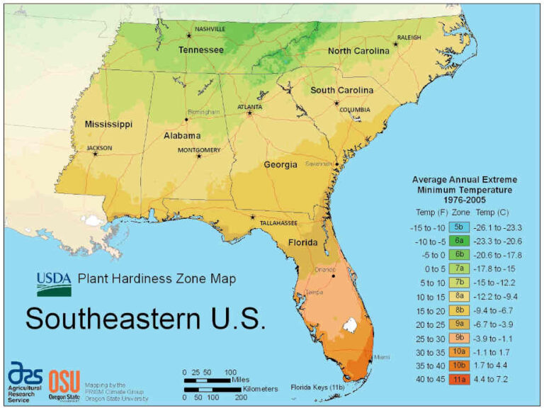USDA Hardiness Zones Explained – Orchard Culture
